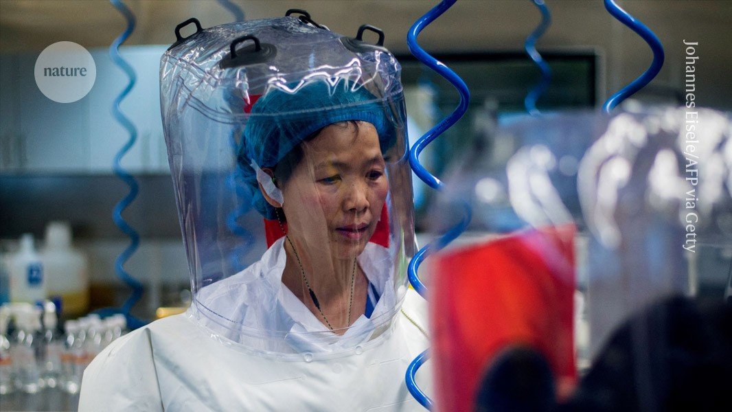 Wuhan lab samples hold no close relatives to virus behind COVID ...